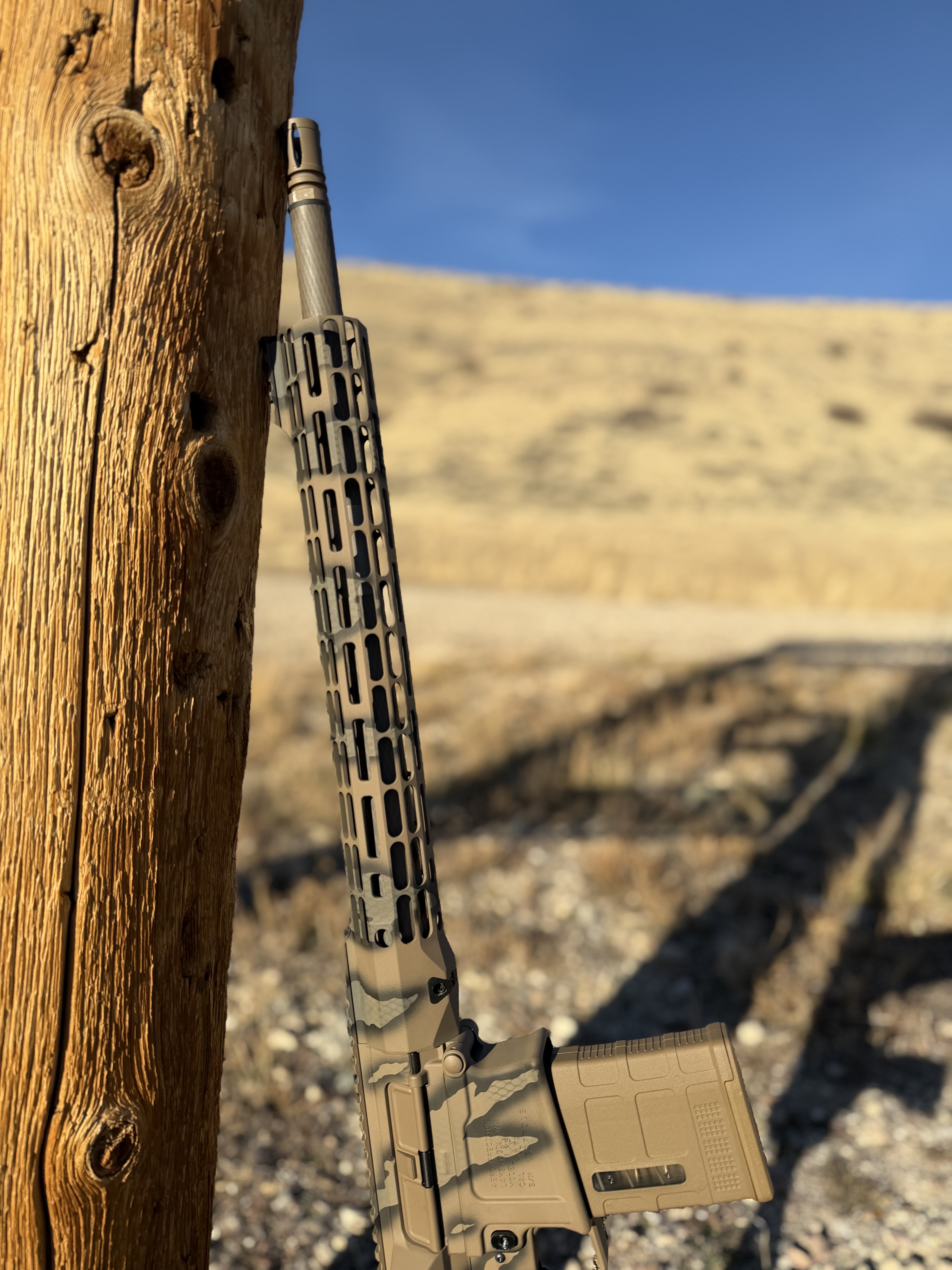 Reptile Camo AR-10 | Cerakote