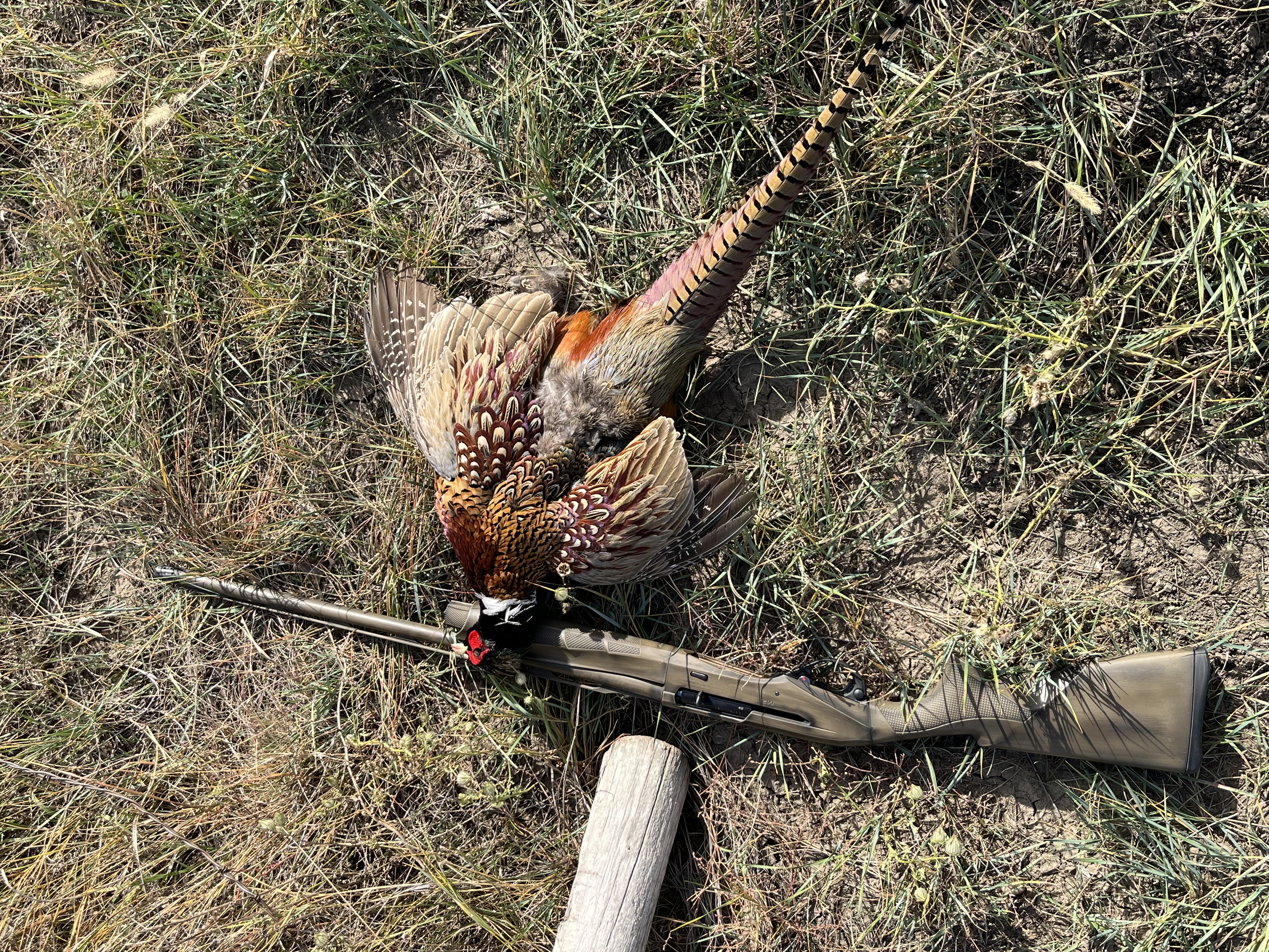Bird Gun using a Armor Black, Patriot Brown and Magpul® Flat Dark Earth ...