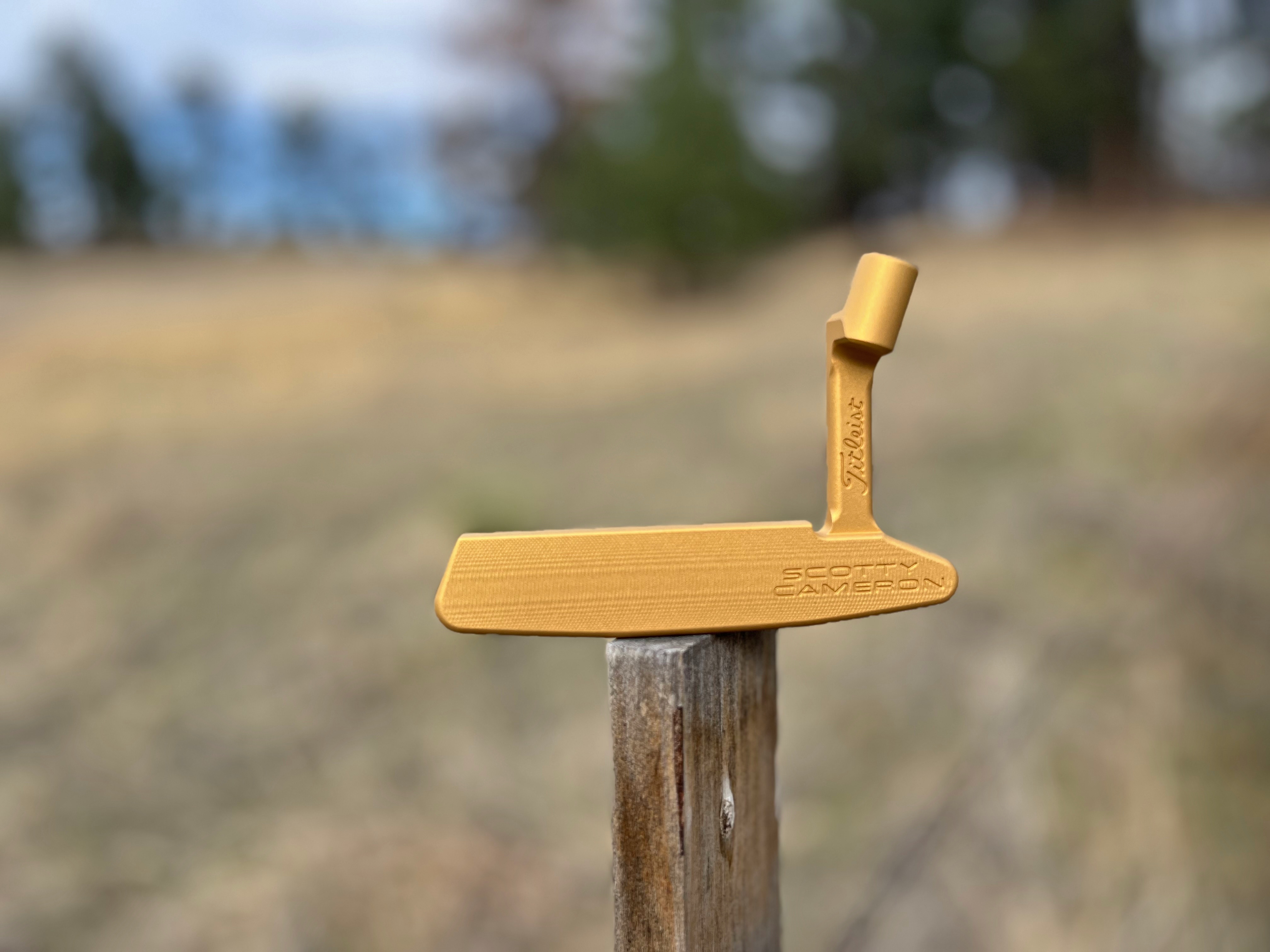 Scotty Cameron Putter Head in Gold | Cerakote