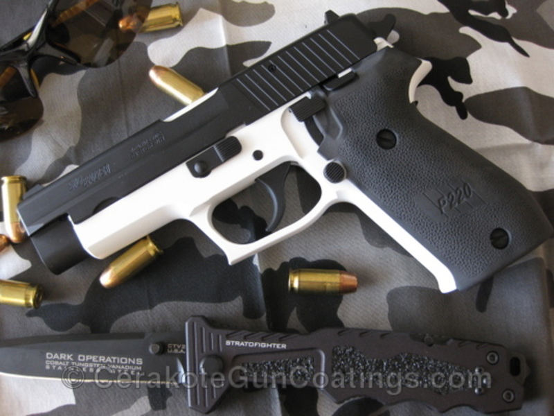 H-146 Graphite Black with H-242 Hidden White by Alternative Firearm ...
