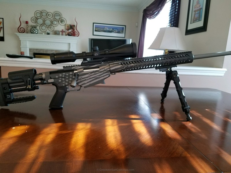 E-120 Smoke and H-152 Stainless by WEB USER | Cerakote