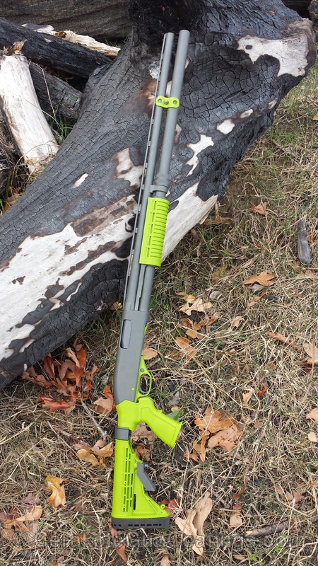 H-210 Sig Dark Grey with H-168 Zombie Green by TnT Gunsmith Shop LLC ...