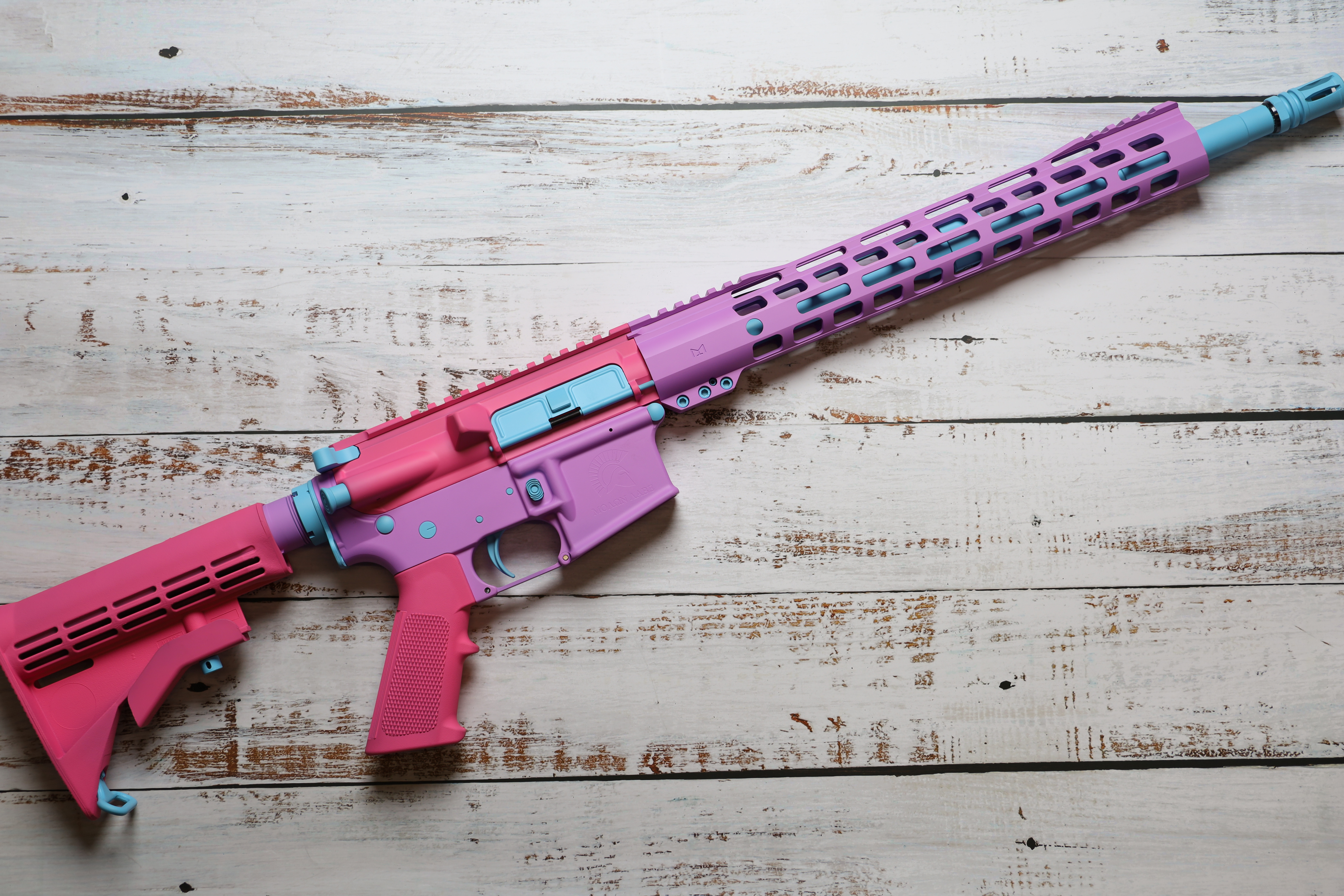 Custom AR-15 Build Cerakoted using Blue Raspberry, Prison Pink and ...