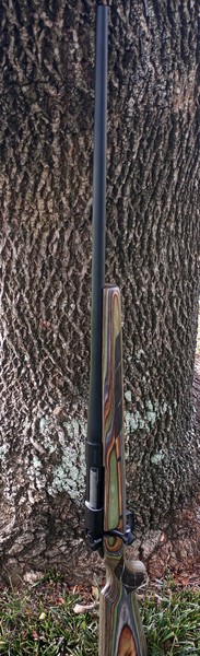 Bolt Gun using H-190 | Cerakote