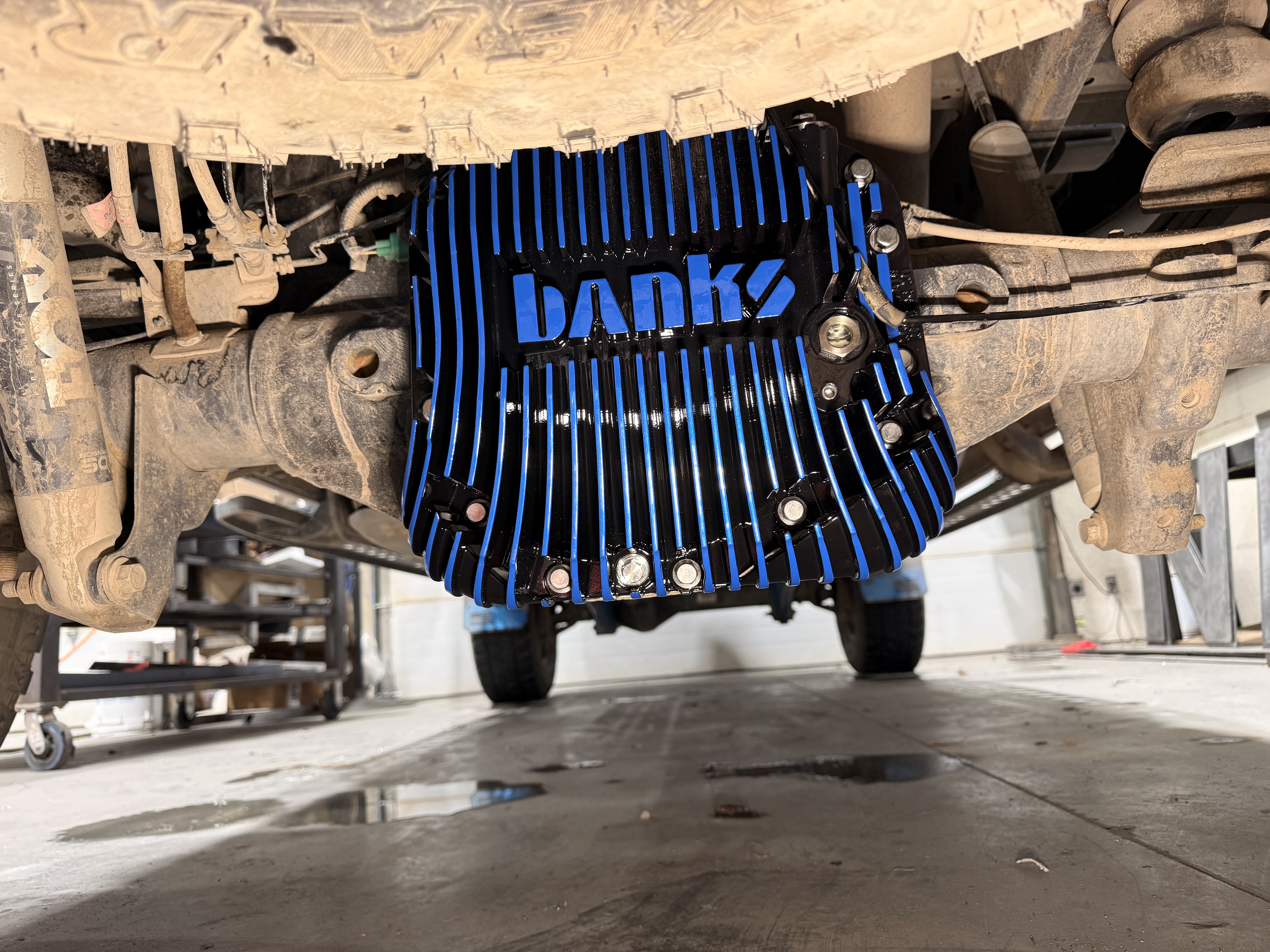 Rear differential | Prismatic Powders